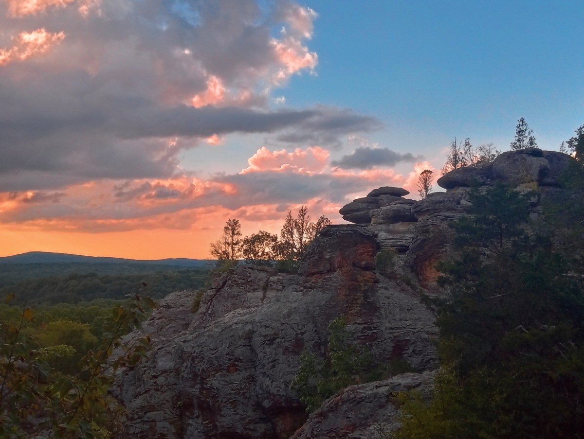 Wilderness Awaits: Three Enticing Forest Lands East of the Mississippi ...